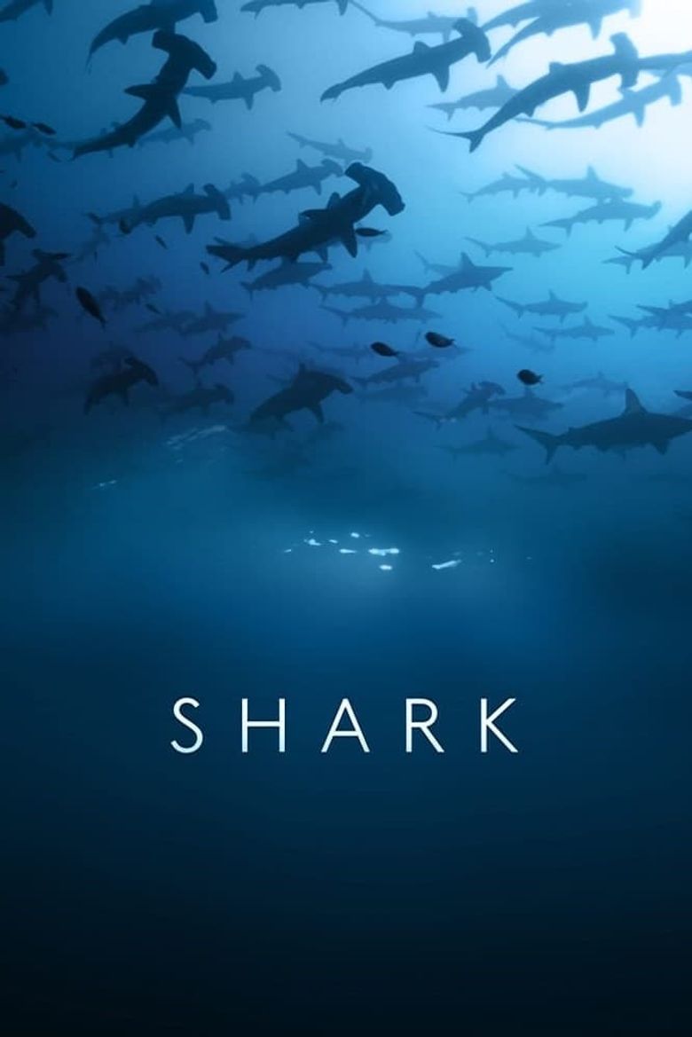 Shark Week Season 30: Where To Watch Every Episode | Reelgood