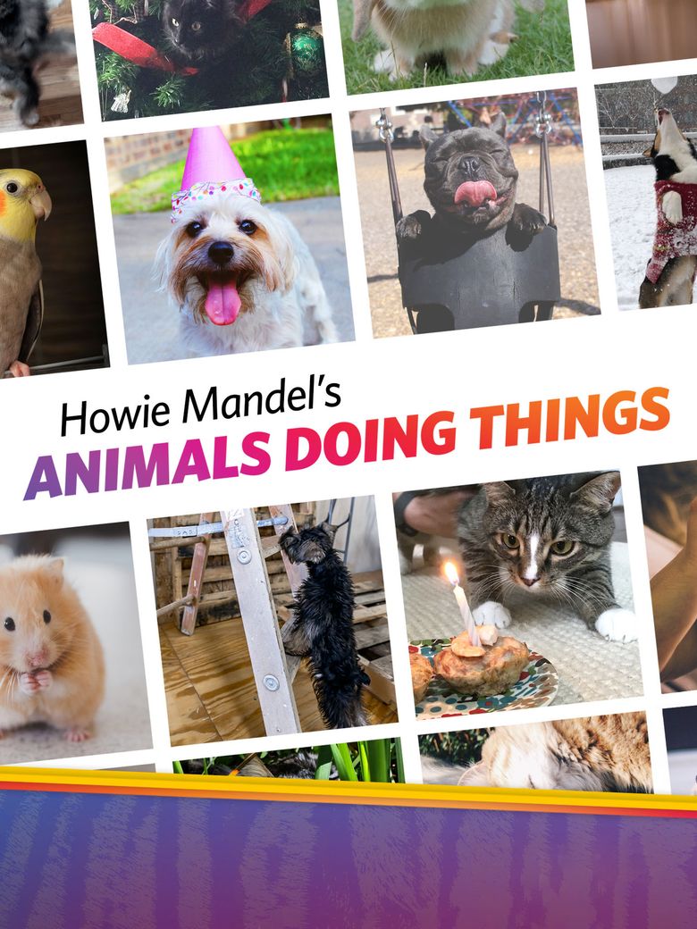 Howie Mandel's Animals Doing Things - Watch Episodes on Disney+ ...