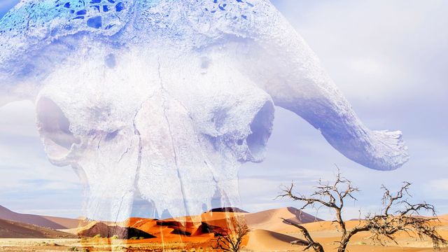 Adapt to Survive Season 1: Where To Watch Every Episode | Reelgood