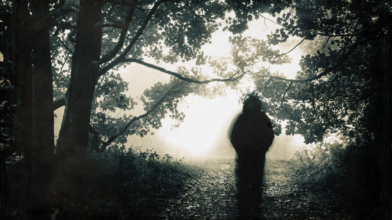 Charles Band’s Full Moon Freakshow: Where to Watch and Stream Online ...