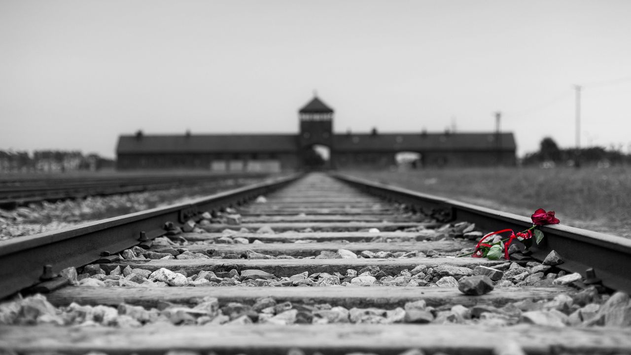 Gold Rush: The Discovery of America: Where to Watch and Stream Online ...