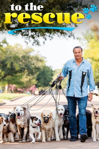 To the Rescue: Where to Watch and Stream Online | Reelgood