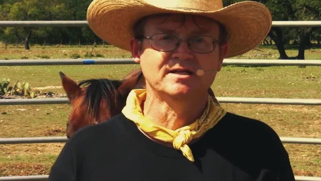 Round Penning: First Steps to Starting a Horse: Where to Watch and ...