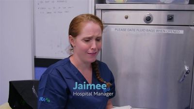 Wildlife ER Season 1: Where To Watch Every Episode | Reelgood