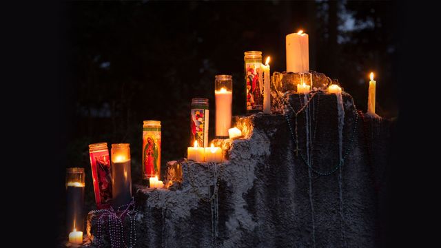 Cryptid: The Swamp Beast Season 1: Where To Watch Every Episode | Reelgood