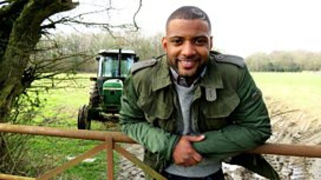 Down on the Farm: Where to Watch and Stream Online | Reelgood