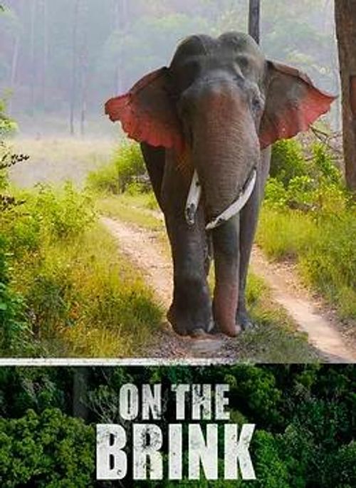 On the Brink Season 1: Where To Watch Every Episode | Reelgood