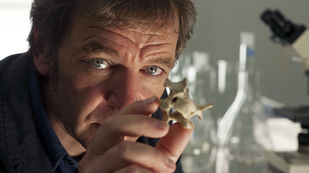 Dead Famous DNA: Where to Watch and Stream Online | Reelgood