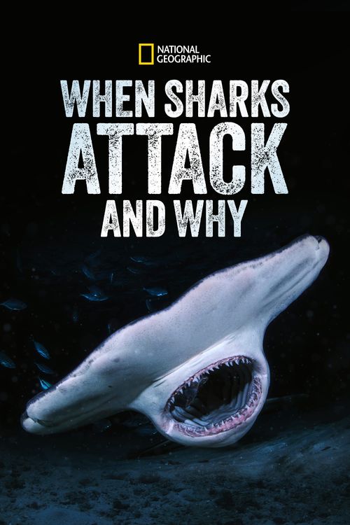 When Sharks Attack... And Why: Where to Watch and Stream Online | Reelgood