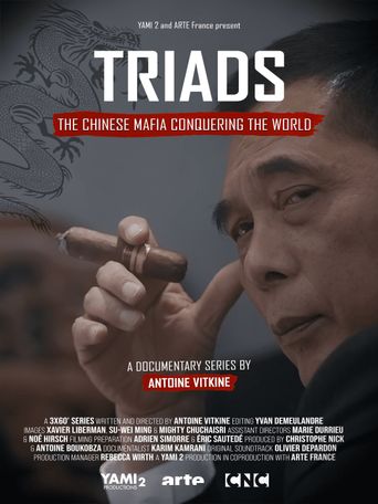 Triads: The Chinese Mafia Conquering the World: Where to Watch and ...