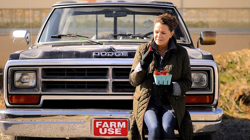 French Magnolia Cooks: Where to Watch and Stream Online | Reelgood