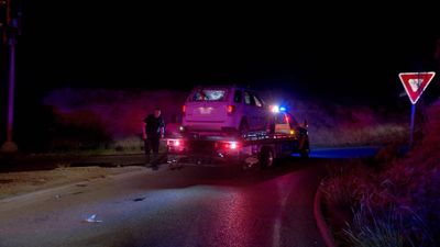 Cops Season 36: Where To Watch Every Episode | Reelgood