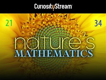 Nature's Mathematics Season 1: Where To Watch Every Episode | Reelgood