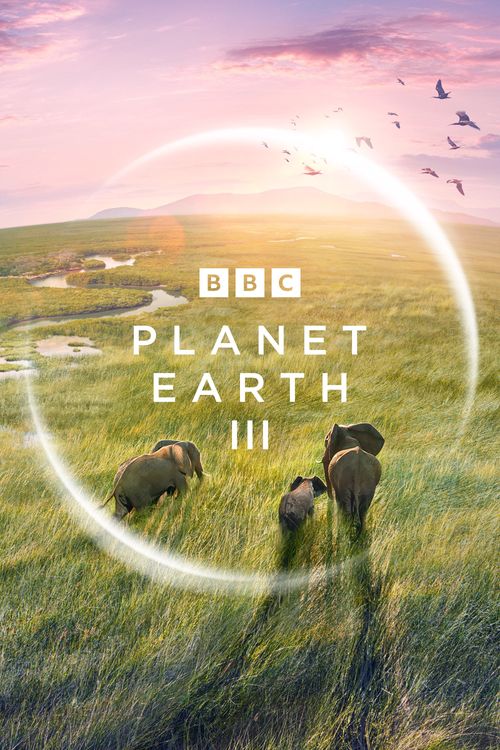Planet Earth III Season 2: Where To Watch Every Episode | Reelgood