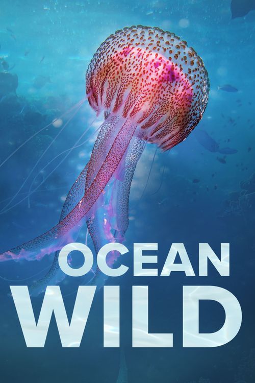 Ocean Wild: Where to Watch and Stream Online | Reelgood