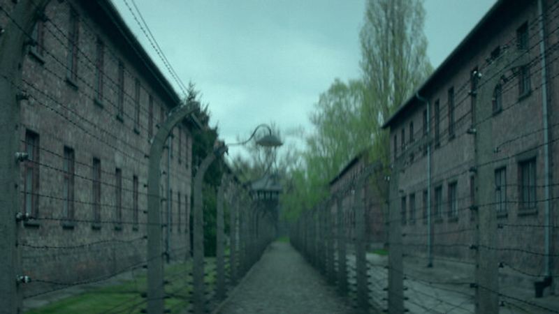 Hitler and the Nazis: Evil on Trial: Where to Watch and Stream Online ...
