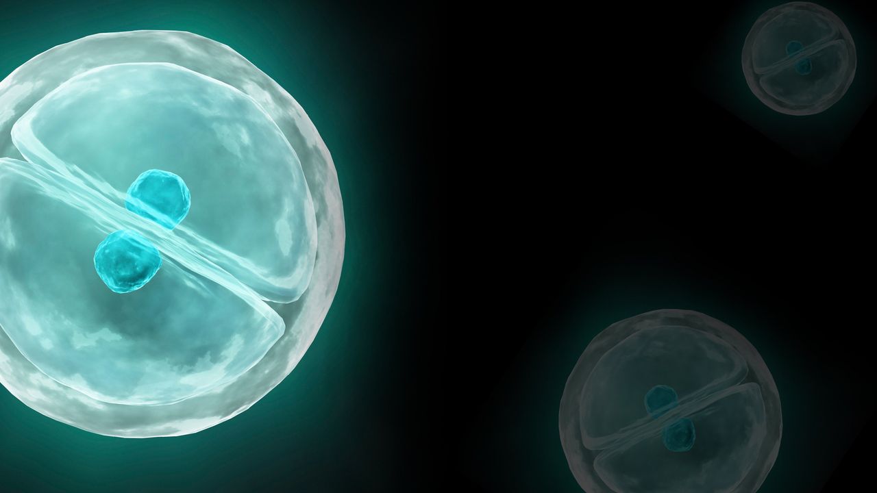 Biochemistry and Molecular Biology: How Life Works Season 1: Where To ...