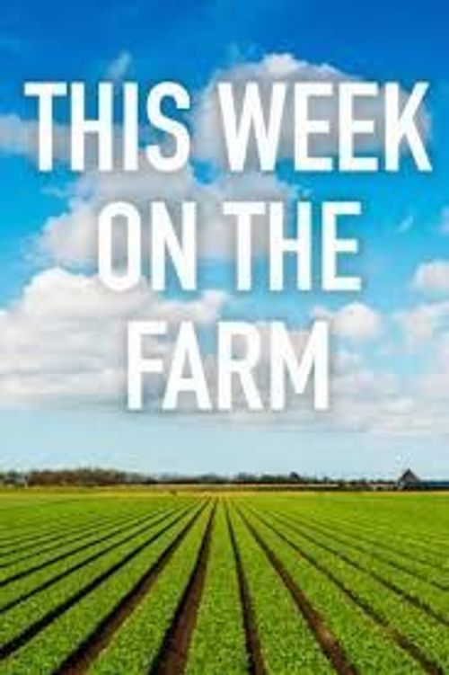 This Week on the Farm: User Lists | Reelgood