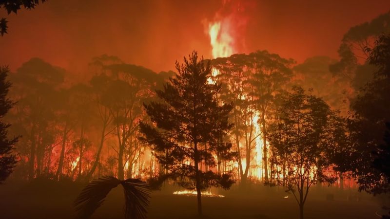 Decoding Danger Season 1: Where To Watch Every Episode | Reelgood