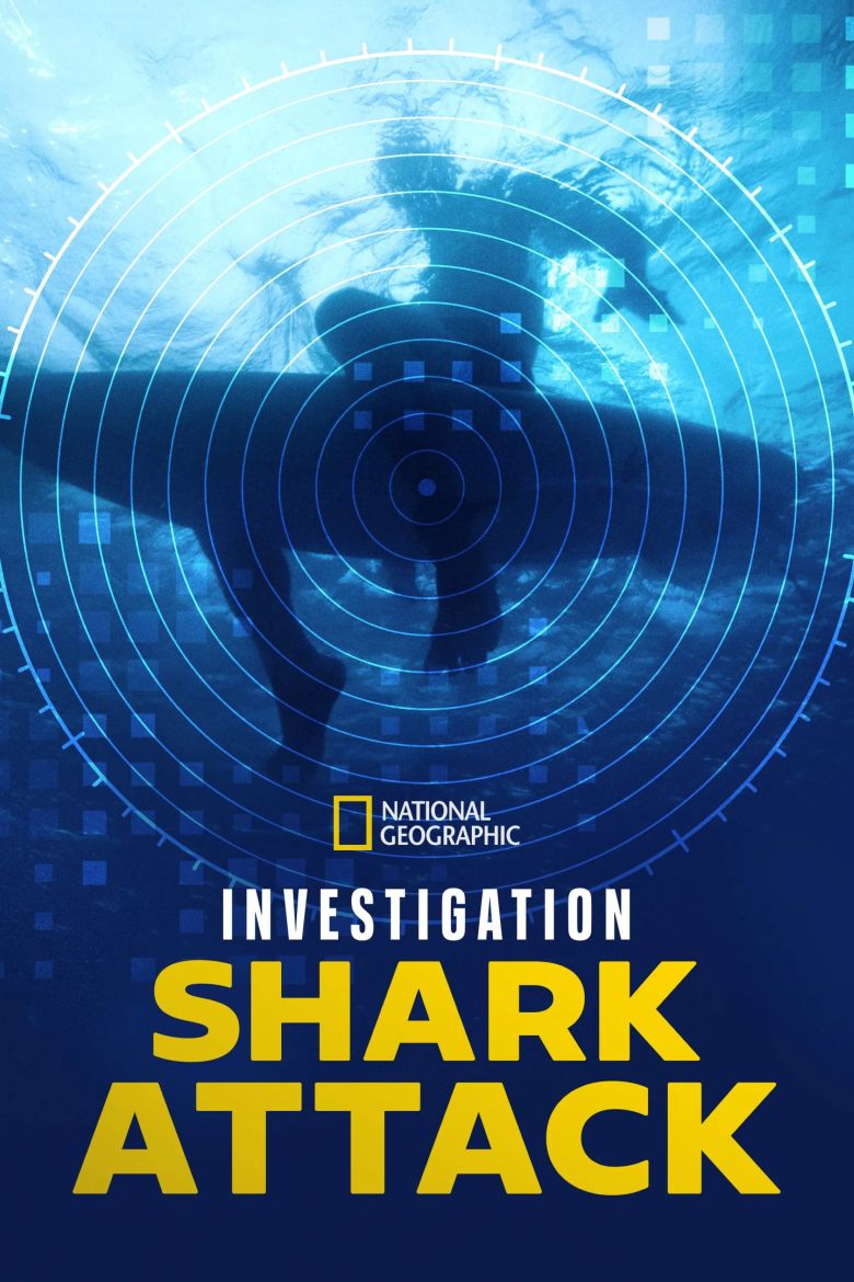 Investigation Shark Attack | Stream Safely