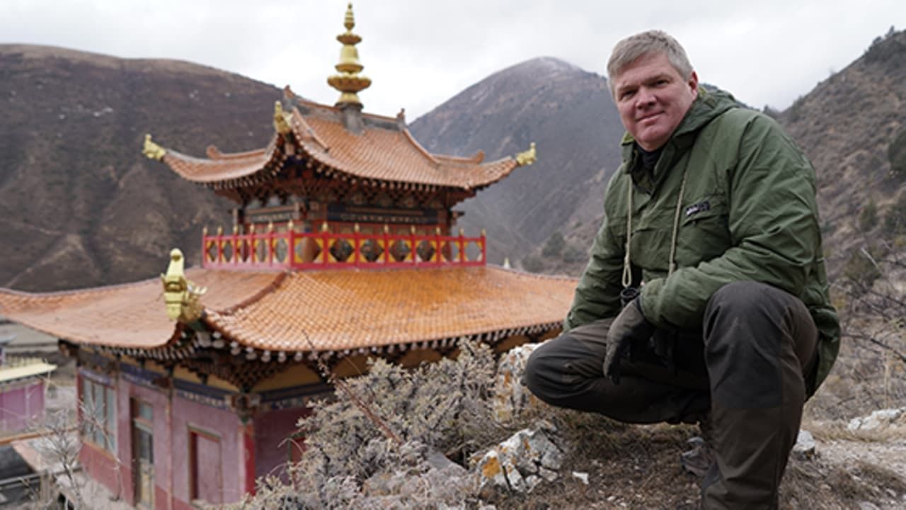 Wild China with Ray Mears: Where to Watch and Stream Online | Reelgood