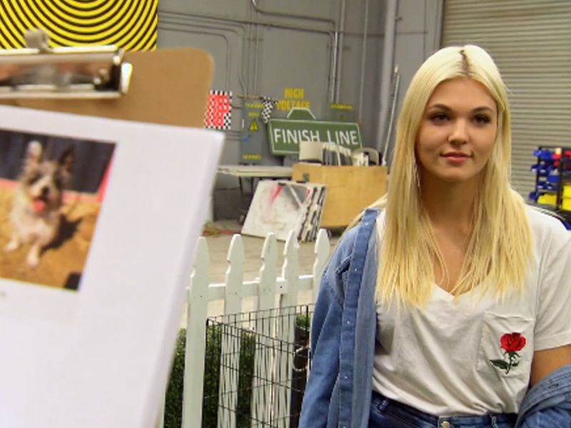 MythBusters: Where to Watch and Stream Online | Reelgood