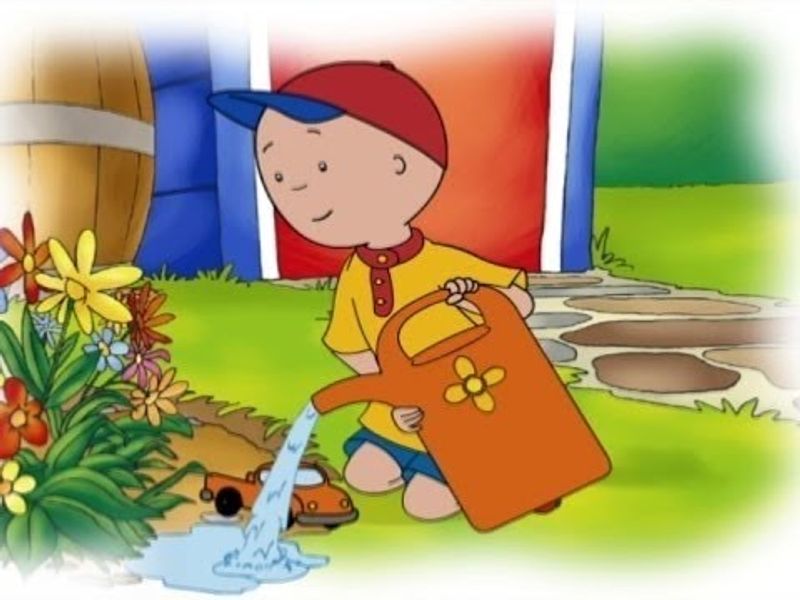 Caillou: Where to Watch and Stream Online | Reelgood