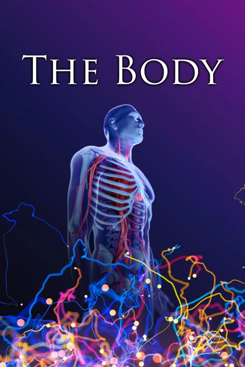 The Body: Where to Watch and Stream Online | Reelgood