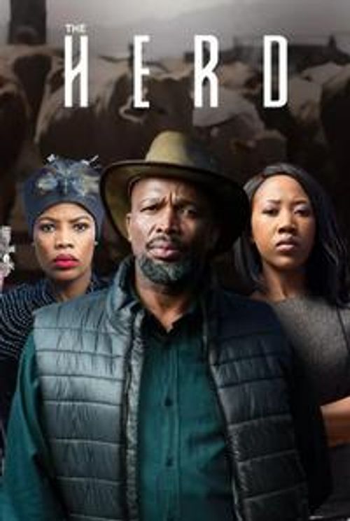 The Herd: Where to Watch and Stream Online | Reelgood