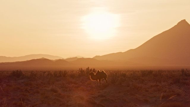 Evolution Earth: Where to Watch and Stream Online | Reelgood