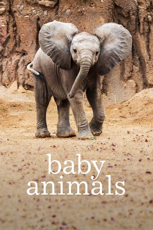 Baby Animals: User Lists | Reelgood