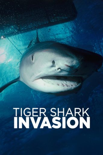 Tiger Shark Invasion: Where to Watch and Stream Online | Reelgood