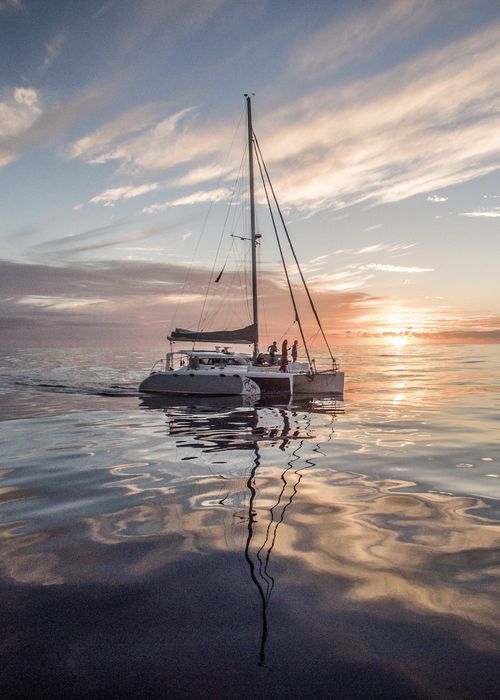 Bluewater Safari Season 1: Where To Watch Every Episode | Reelgood