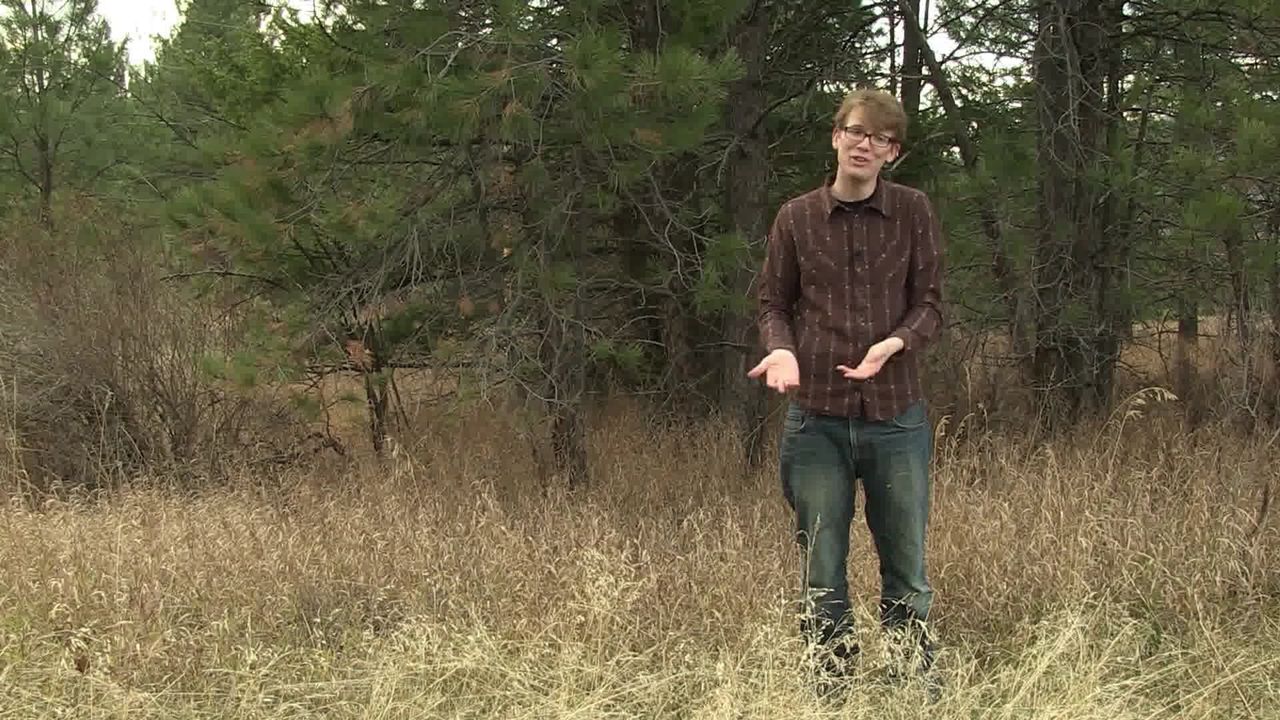 Crash Course: Ecology: Where to Watch and Stream Online | Reelgood