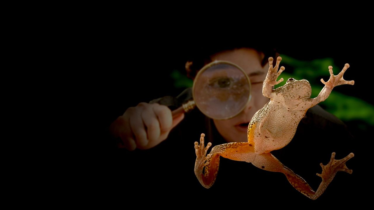 Critter Quest!: Where to Watch and Stream Online | Reelgood