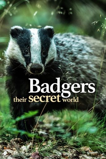 Badgers: Their Secret World: Where to Watch and Stream Online | Reelgood
