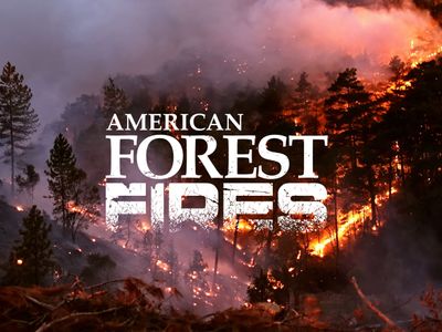 American Forest Fires: The Untold Story: Where to Watch and Stream ...