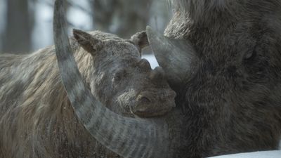 Prehistoric Planet Season 3 Episode 1 - Where to Watch and Stream ...