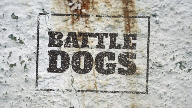 Battle Dogs Season 1: Where To Watch Every Episode | Reelgood