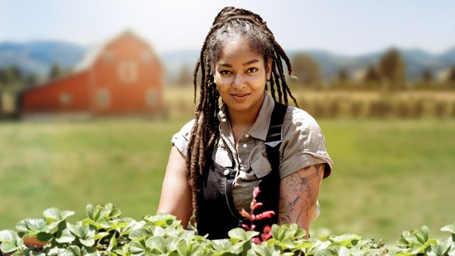 Farm Dreams: Where to Watch and Stream Online | Reelgood