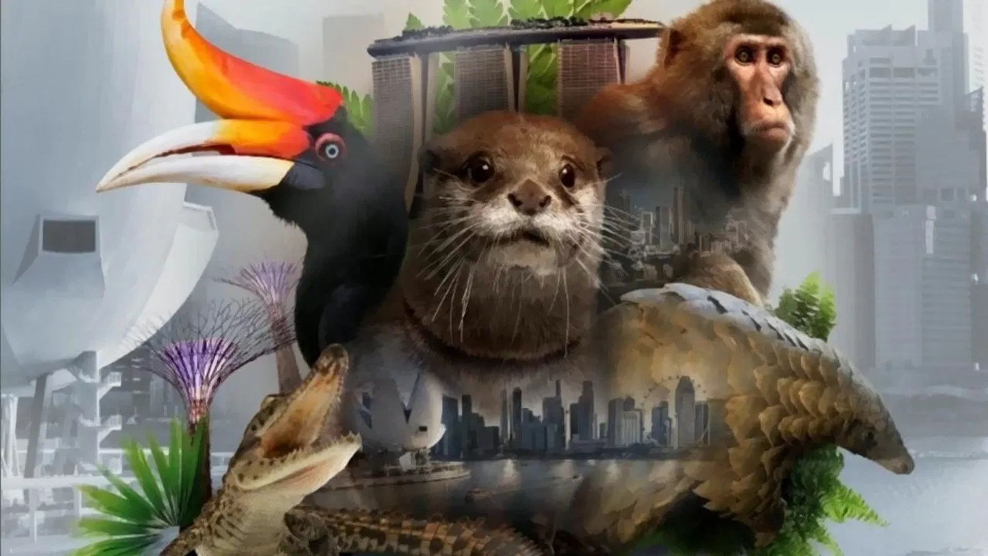 Wild City - Where to Watch Every Episode Streaming Online | Reelgood