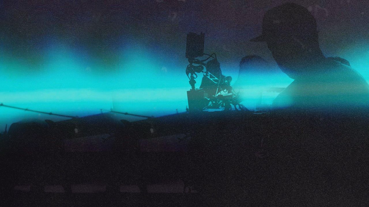 Short & Fresh Season 1: Where To Watch Every Episode | Reelgood