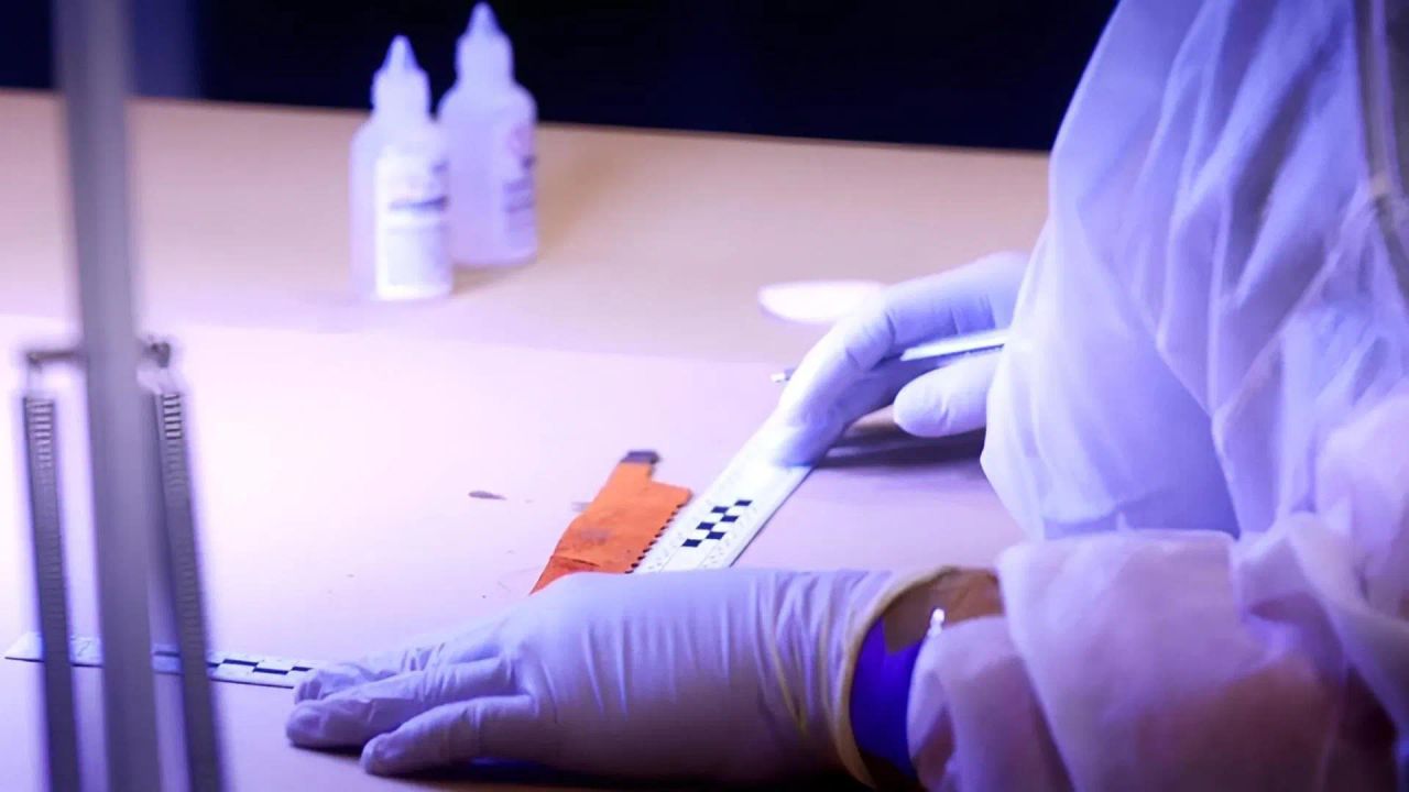 Code Blue: Murder: Where to Watch and Stream Online | Reelgood