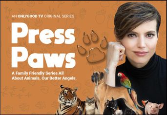 Press Paws: Where to Watch and Stream Online | Reelgood