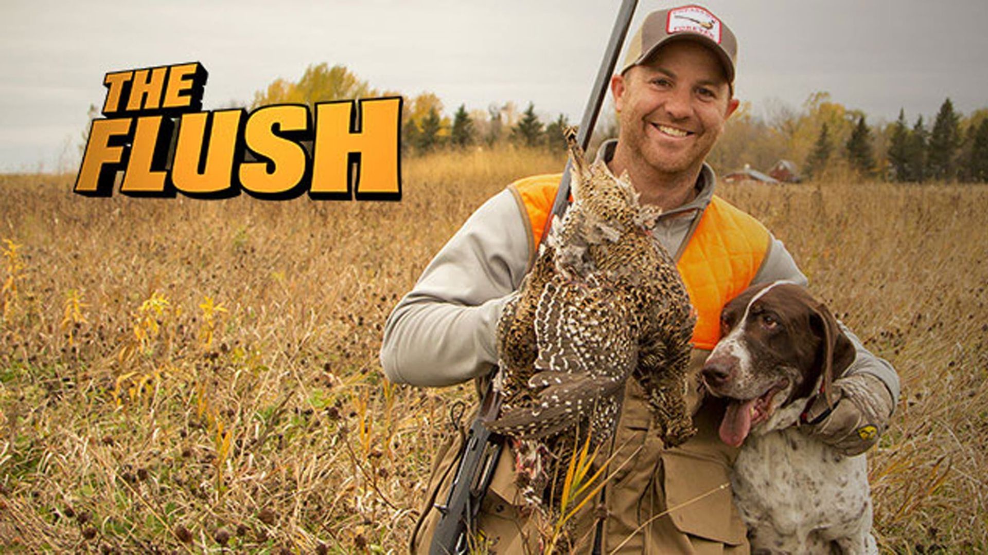 The Flush: Where to Watch and Stream Online | Reelgood