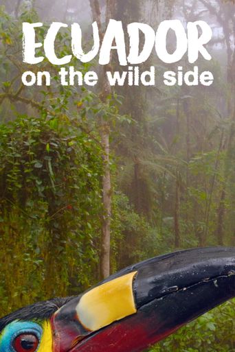 Ecuador: On the Wild Side: Where to Watch and Stream Online | Reelgood