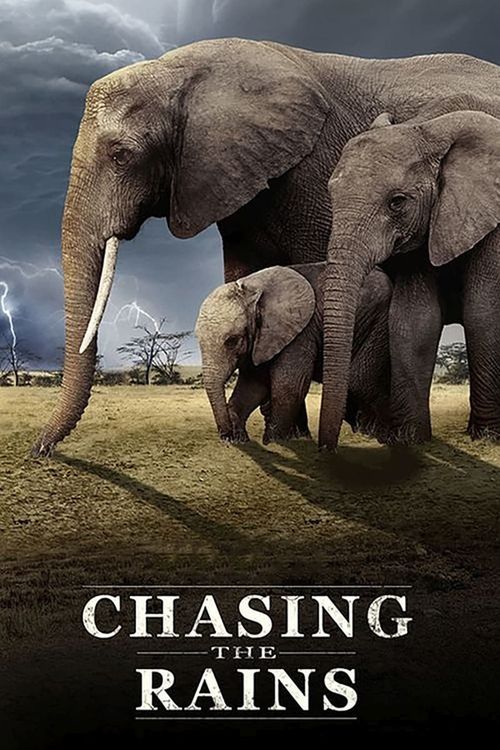 Chasing the Rains: Where to Watch and Stream Online | Reelgood