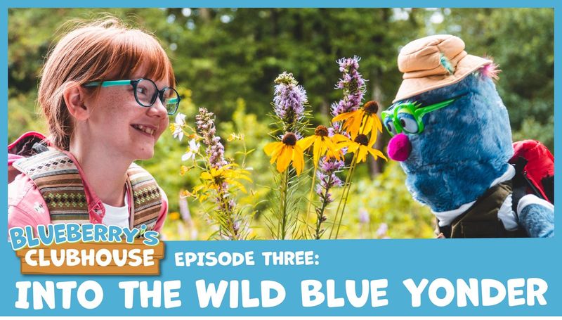 Blueberry's Clubhouse: Where to Watch and Stream Online | Reelgood