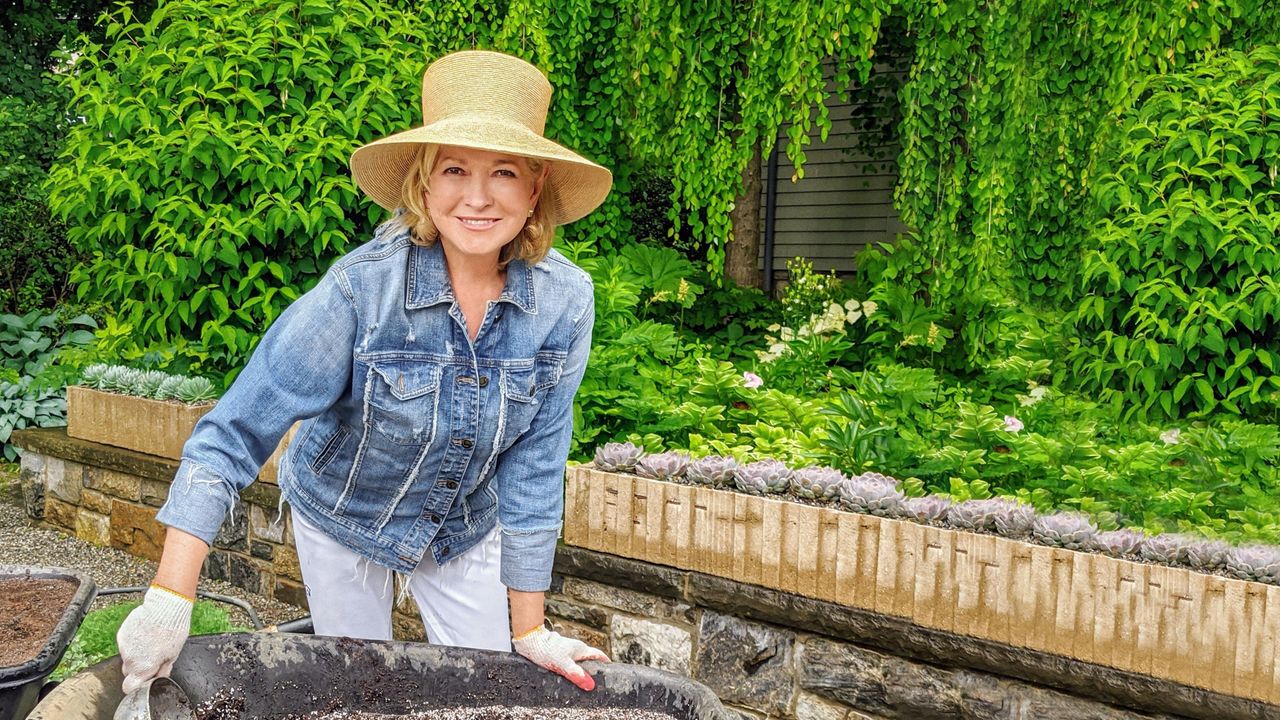 Martha Knows Best: Where to Watch and Stream Online | Reelgood