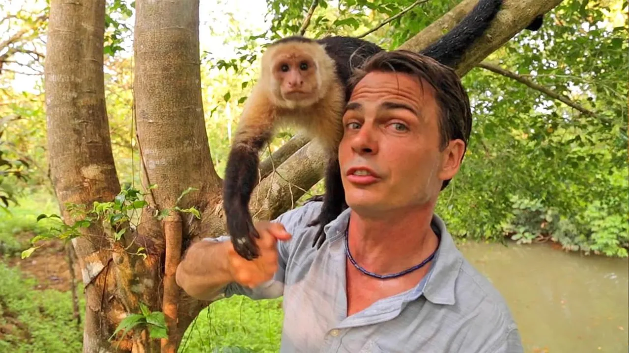 Chasing Coffee: Where to Watch and Stream Online | Reelgood